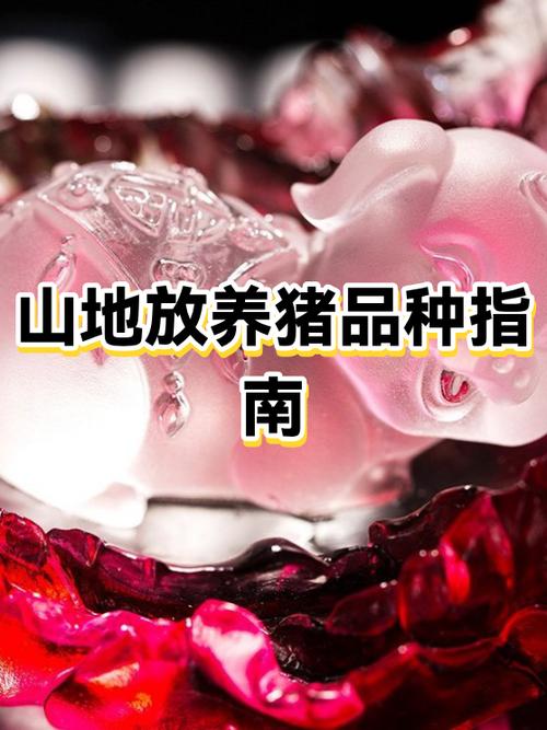 什么属相不适合养猪图标