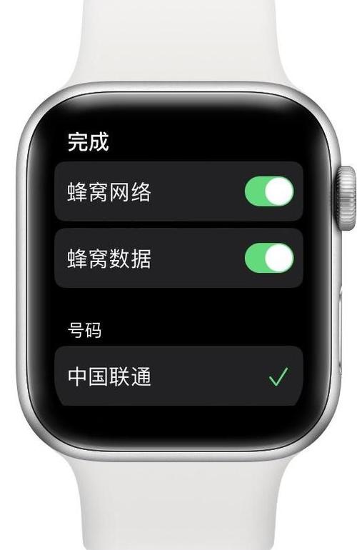 苹果手表蜂窝网络状态显示无连接截图
