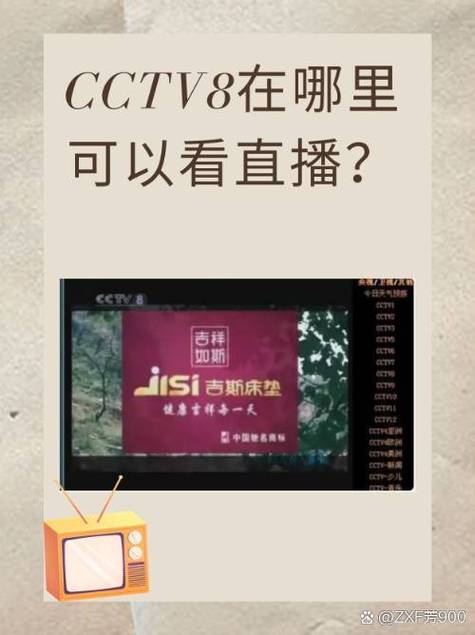 看中央五套下载什么软件