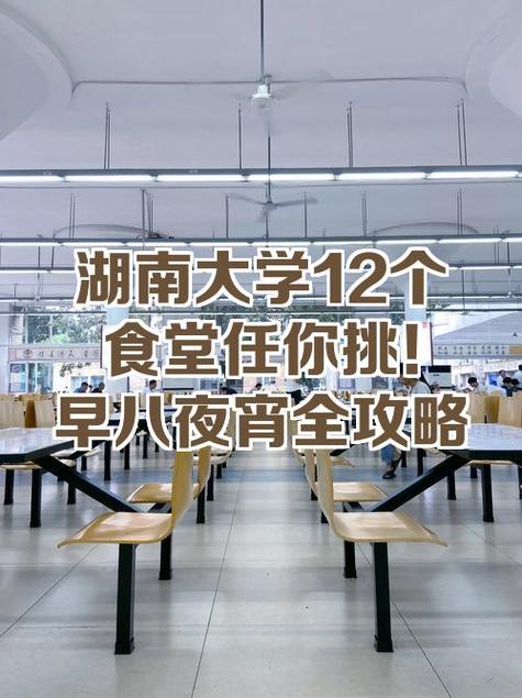 小条食堂必点截图
