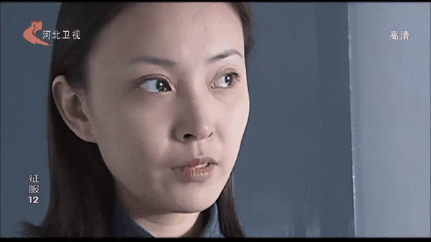 征服第一部哪里能看图标