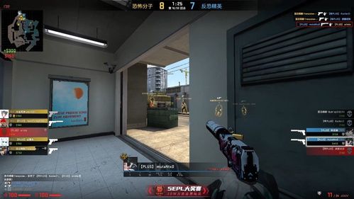 csgo打字不显示字框图标