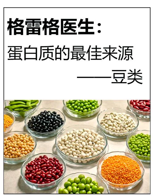 含钙最高的豆类排行榜图标