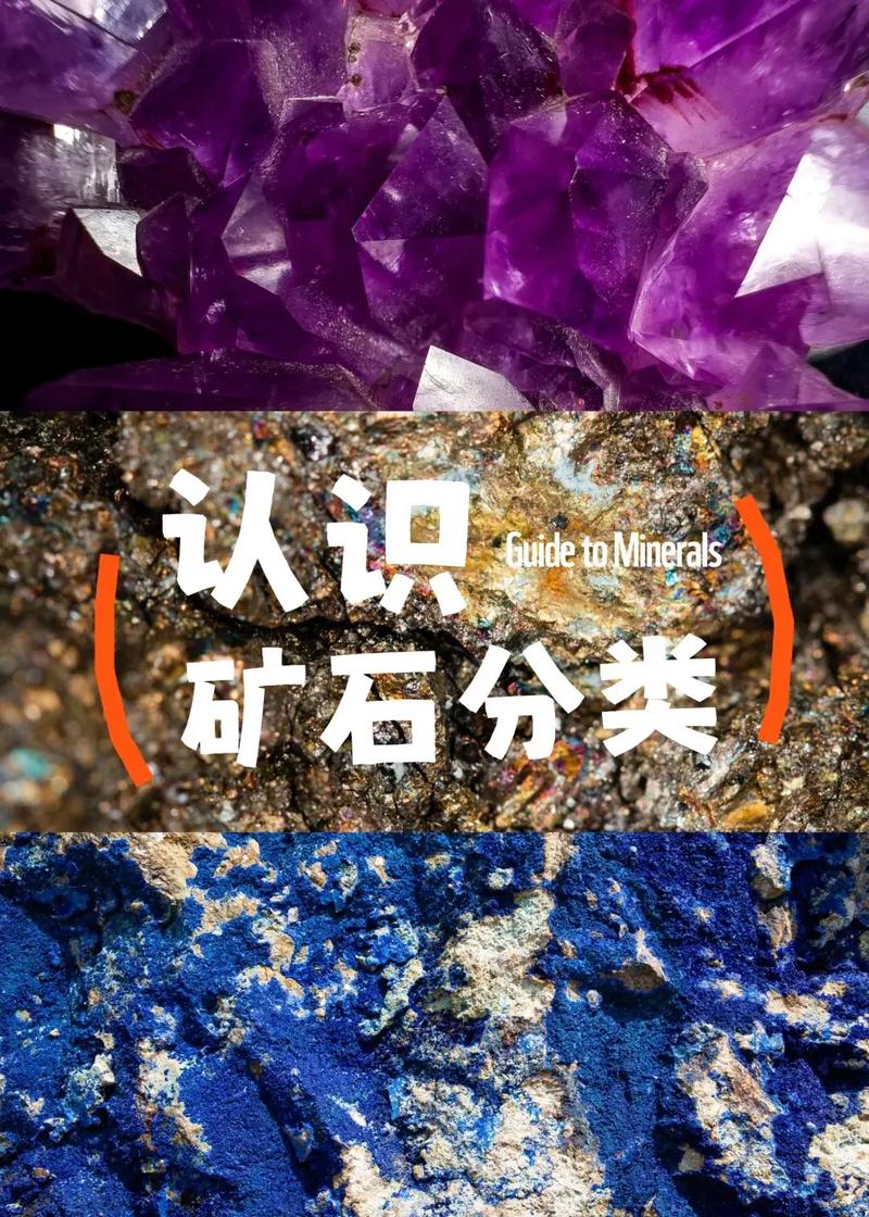 拍照识别矿石的软件图标