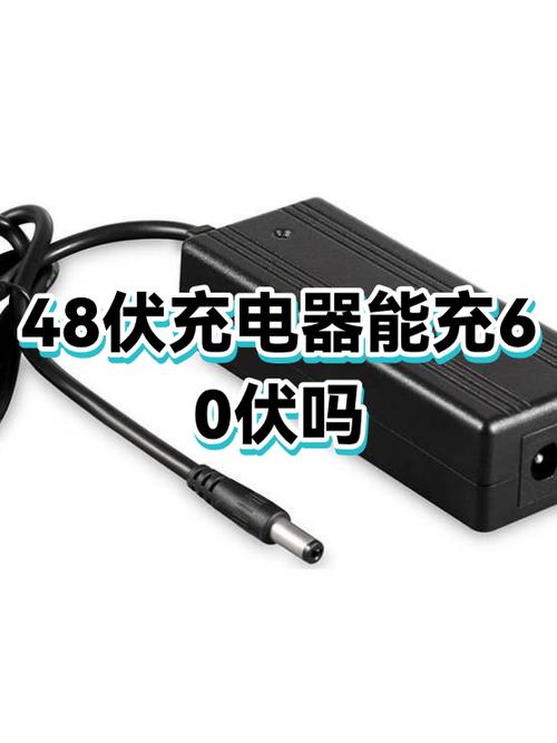 电瓶车充电器48伏能充60伏吗图标