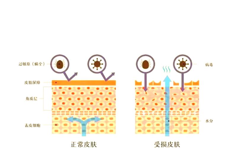 屏蔽了怎么恢复图标