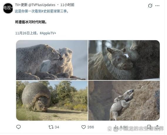 冰河剧集老婆的妹妹图标