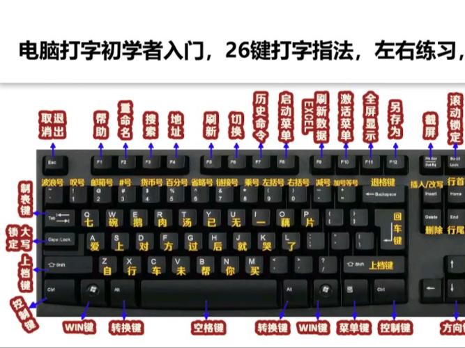 盲打训练方法和技巧图标