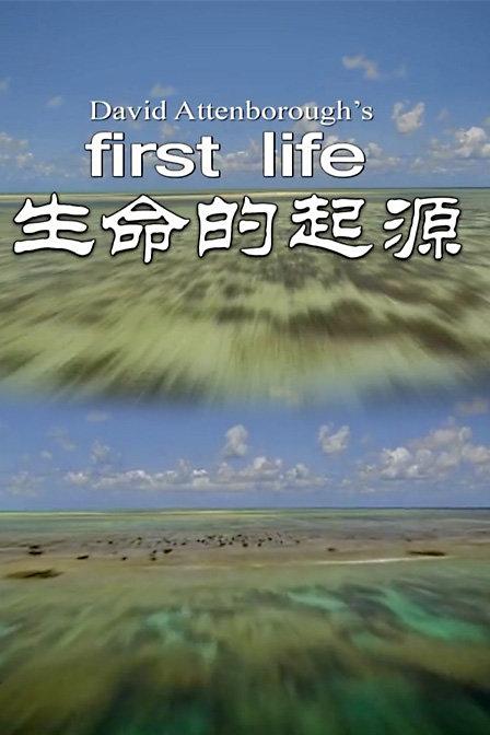 生命起源截图