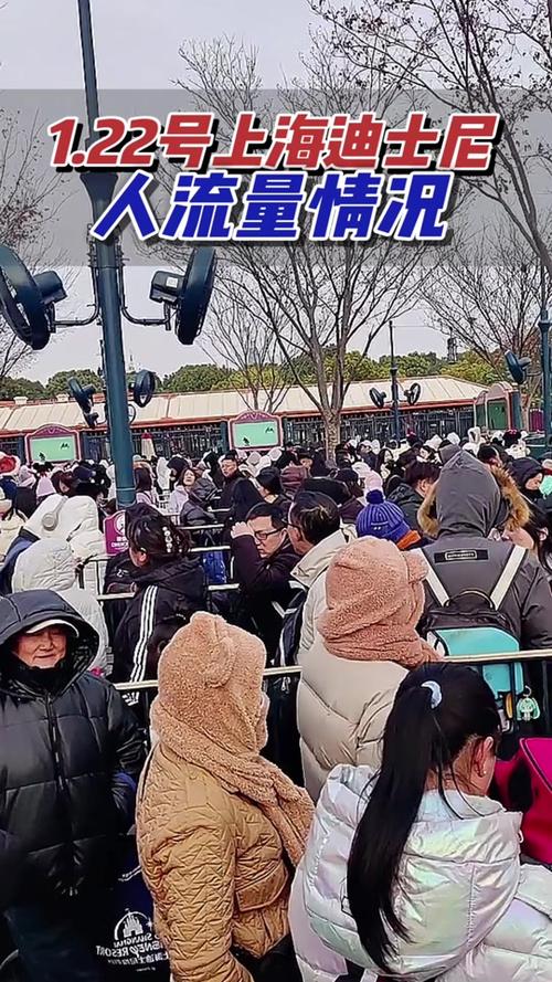 迪士尼乐园人流量截图