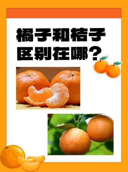 桔和橘的区别在哪里截图
