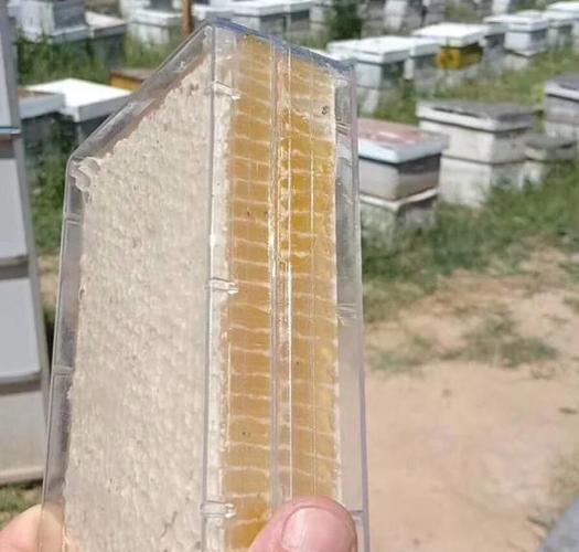 蜂巢蜜怎么使用截图