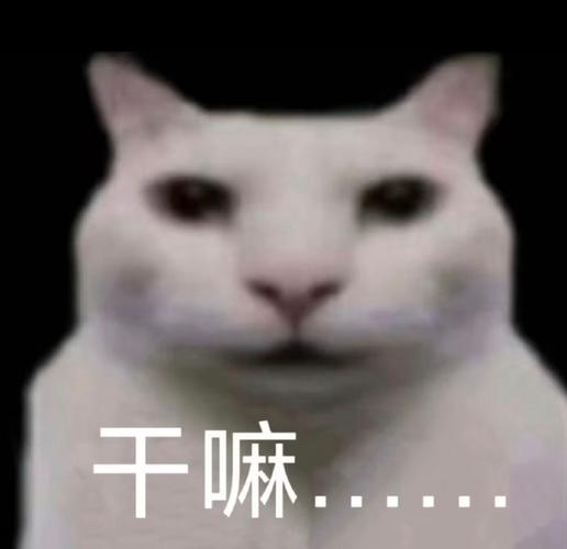 oppor11悬浮窗是干嘛的图标