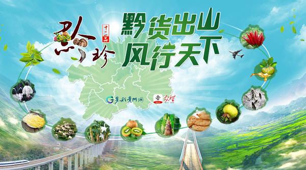 贵州扶贫云官网图标