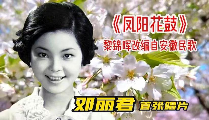 邓丽君500首免费听截图