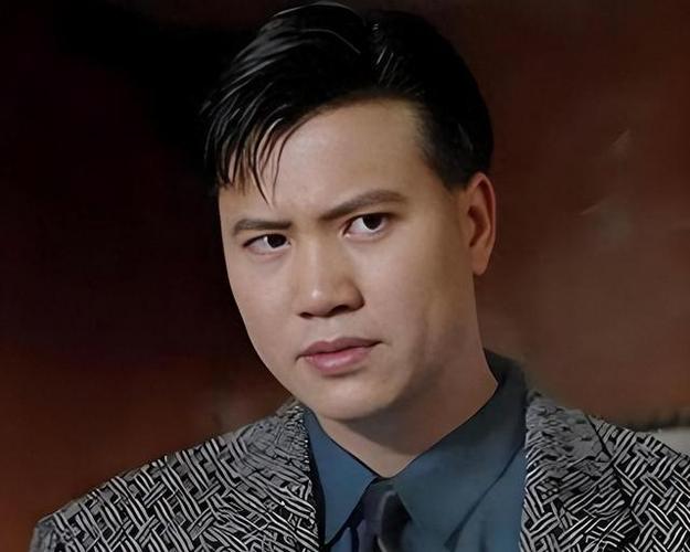 1999万梓良电视剧陌生人图标