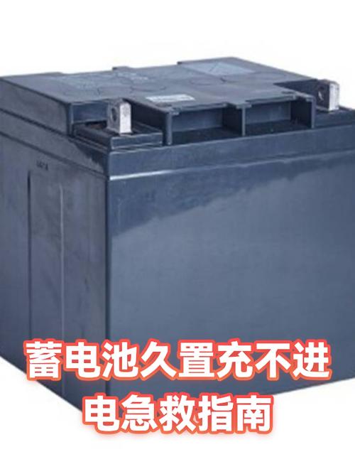 电瓶放久了充不进电怎么解决