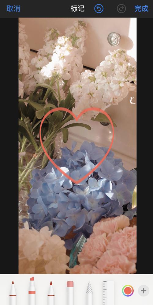 苹果手机照片涂鸦在哪里截图