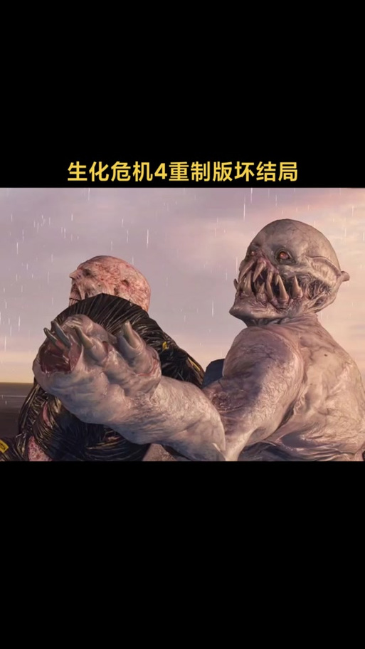 生化危机4重制版进去黑屏怎么办截图