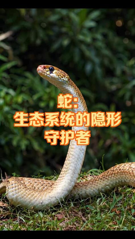 如何让系统盘禁止写入数据图标