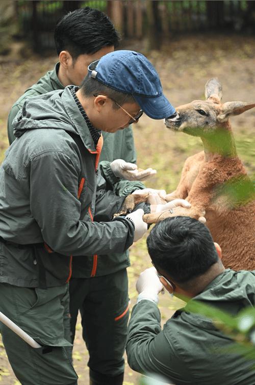 保护者是什么职业图标
