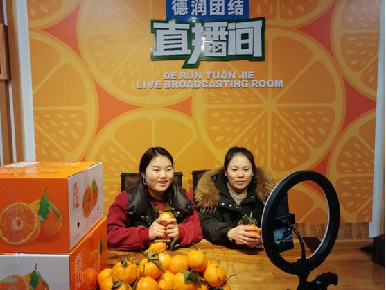 桔子tv直播图标
