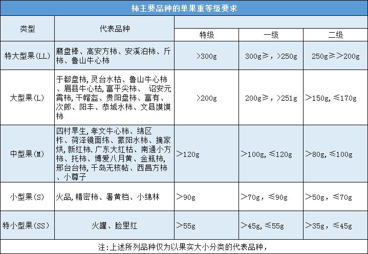 柿子怎么冷冻保存图标
