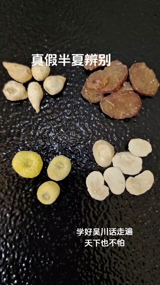 半夏真假辨别方法图标