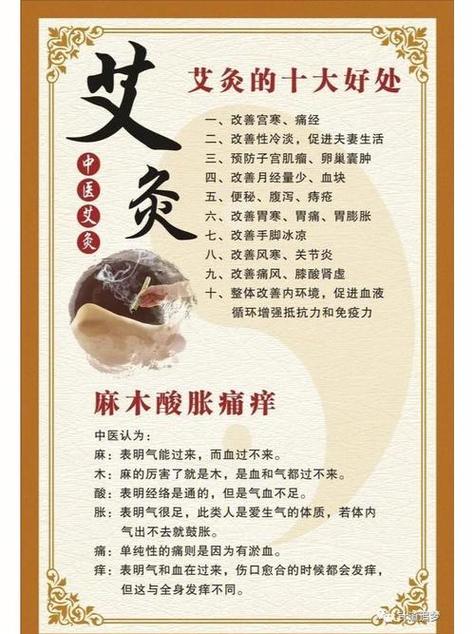 艾灸仪品牌十大排行榜图标