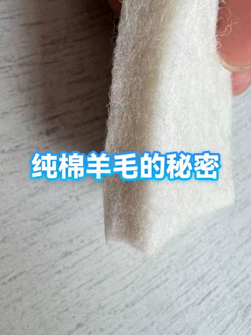 羊毛毡里面断了一根针图标