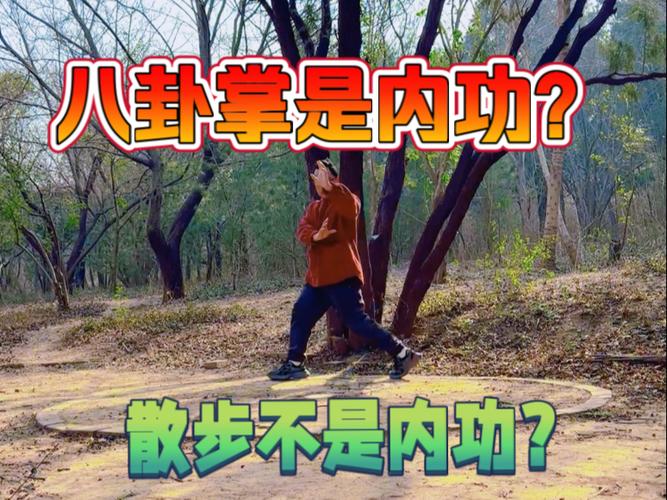 八卦内功70分钟图标