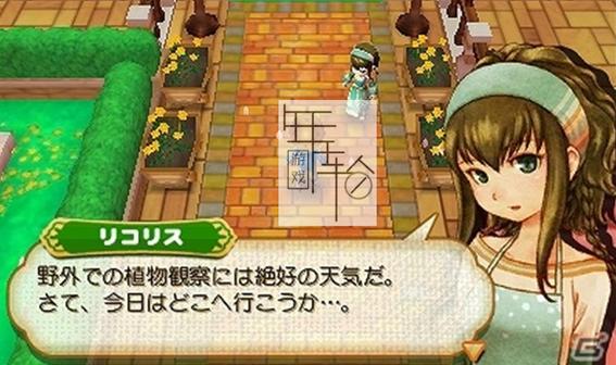 牧场物语连接新天地男性结婚候补