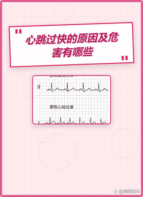 心率过速怎么缓解截图
