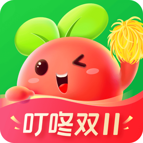 叮咚app官网图标