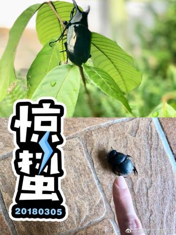 被过滤的评论是博主删除了吗图标