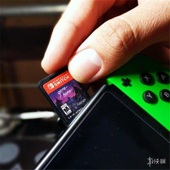 ns会员家庭版和个人版图标