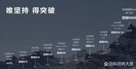 华为的成功图标