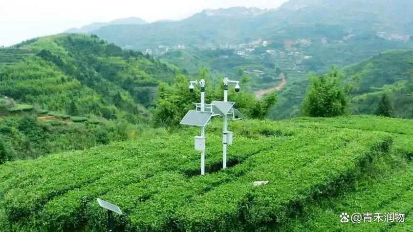 智慧茶园图标
