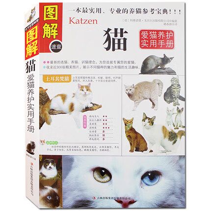 4个月猫最忌三种食物