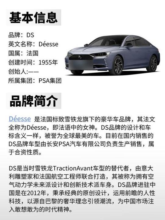 DS汽车是什么车图标