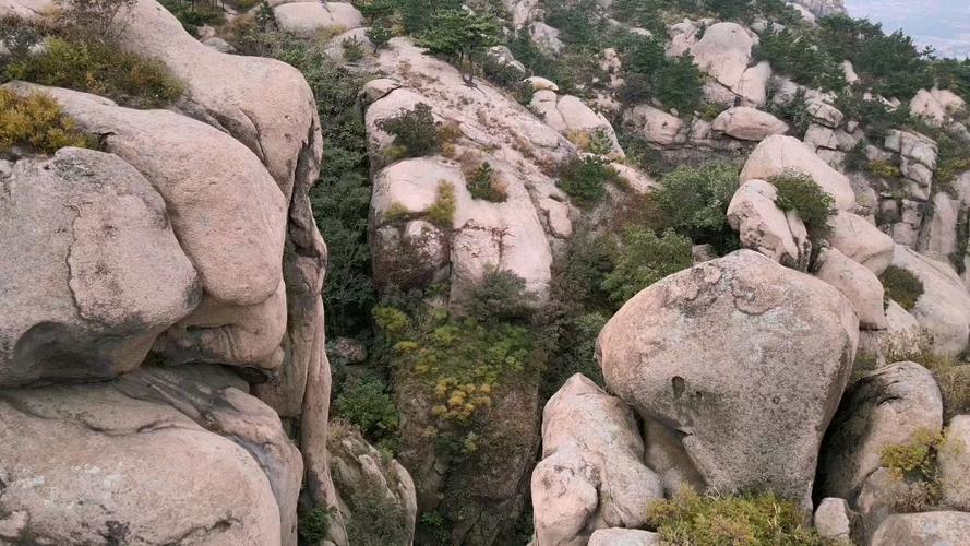土耳其电影《山1》图标
