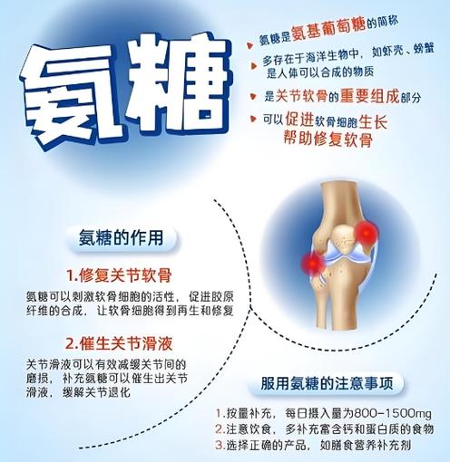 氨糖的功效与作用截图