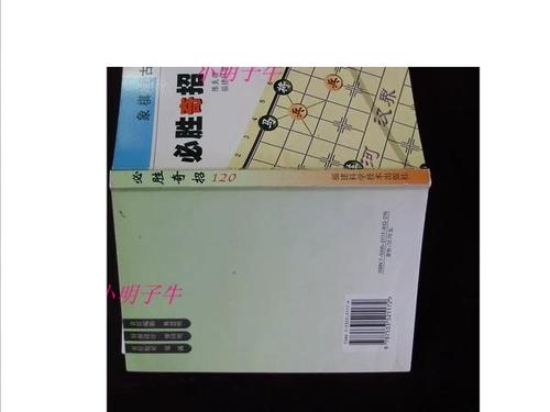 象棋奇招截图