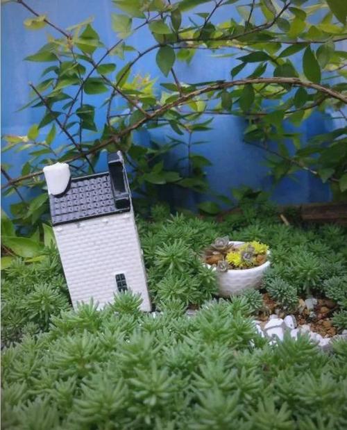果果的花园图标