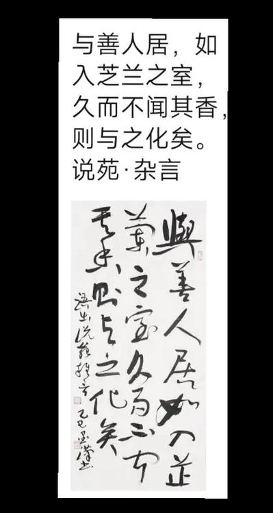与善人居的文言文意思截图