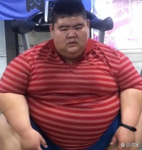 《逆袭的胖子》免费观看图标
