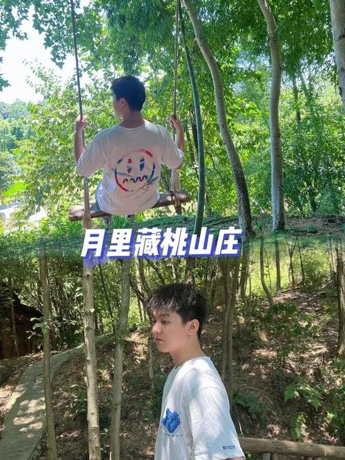 桃源山庄 小说图标