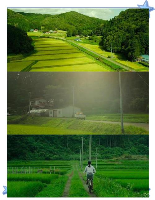 电影《小森林》的剧情简介游戏截图