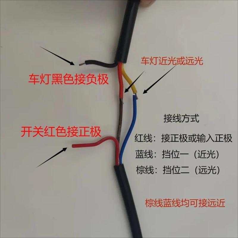 黑红哪个是正极图标