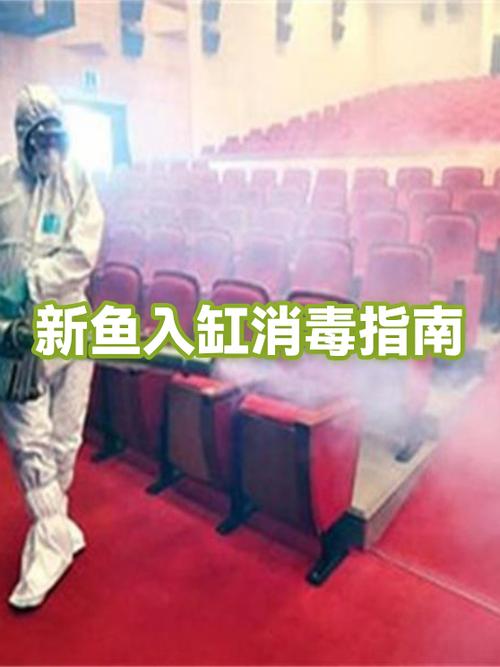 新鱼进缸前怎么消毒图标